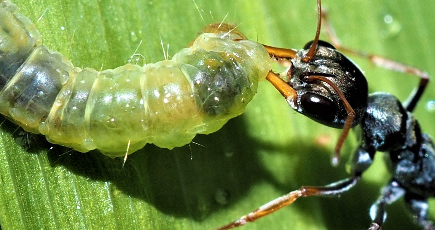 P1060024 (3).JPG | DPR Forum